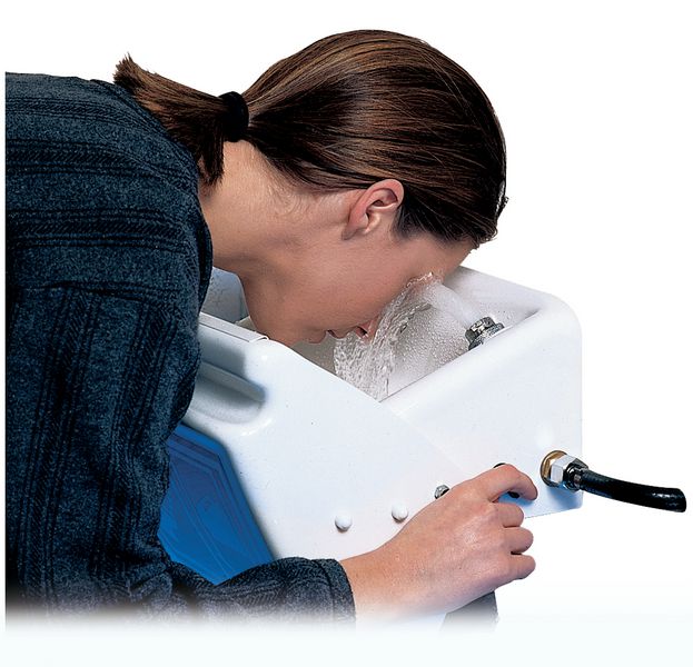 Emergency Eyebath/Facewash Fountains | Seton