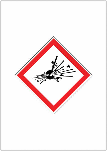 Single GHS COSHH Symbol Signs - Explosive 297 x 210 mm | Seton