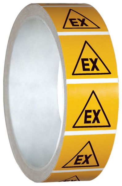 Mini-pictogrammes de danger "Atmosphère explosive" en rouleau | Seton