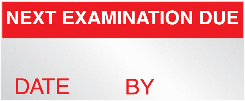 Next Examination Due/Date/By Foil Write-On Labels | Seton