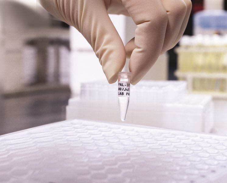 Polypropylene Lab Labels | Brady Printer Consumables | Seton