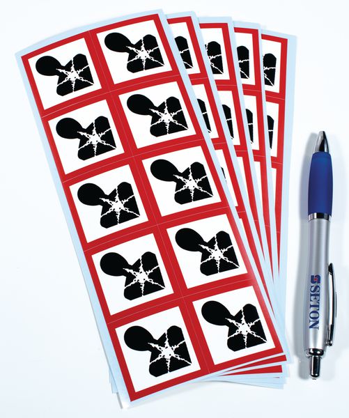 Pictograma CLP Riesgo mutágeno GHS08 - adhesivos | Seton