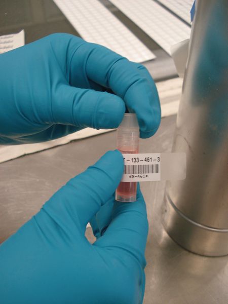 Pre-Cut Laminated Lab Identification Labels | Seton