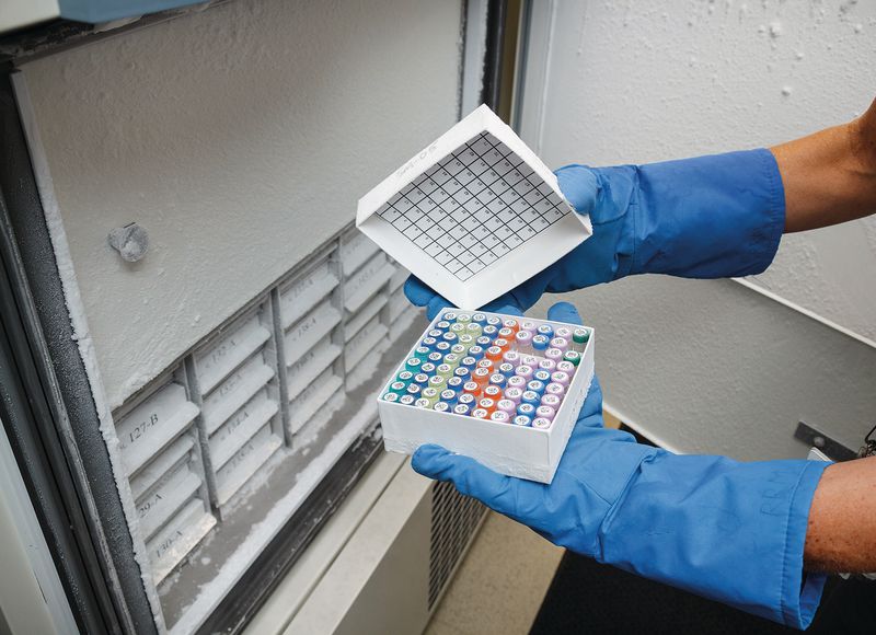 Durable Pre-Cut Cable Wire Labels For Brady Printers | Seton