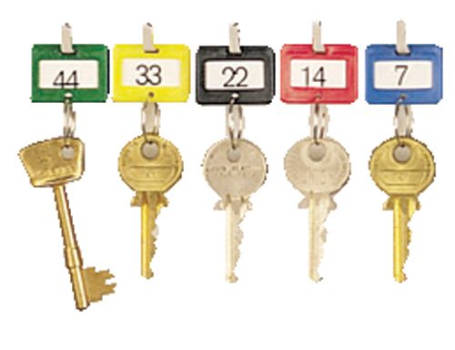 Setonsecure Premier Security Key System Coloured Tags | Seton