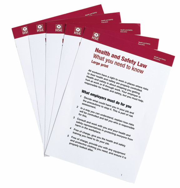 HSE Health & Safety Law Large Print Leaflet | Seton