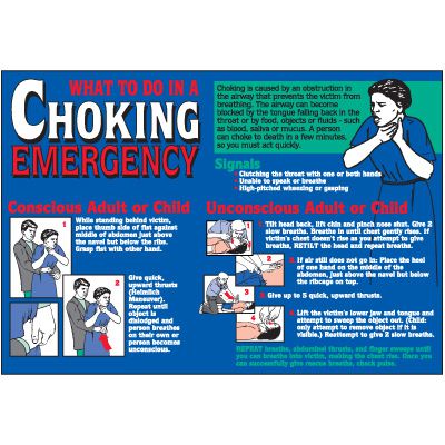 Choking Emergency Wallchart | Emedco