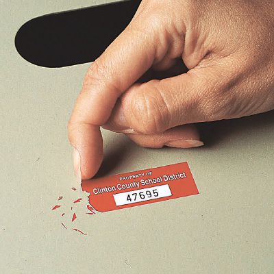 Destructible Vinyl Identification Tags|Seton Canada | Seton.ca
