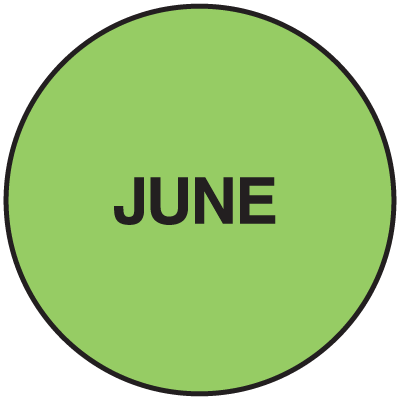 Fluorescent June Dot Labels | Seton