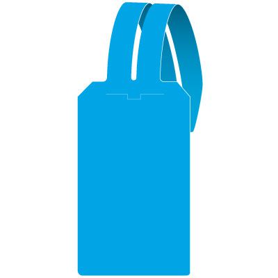 Color Coded Blank Lock On Tags | Emedco