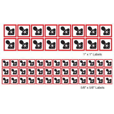 GHS Pictogram Label Sheets - Health Hazard | Emedco
