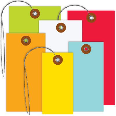 Blank Colored Tyvek® Tags | Emedco